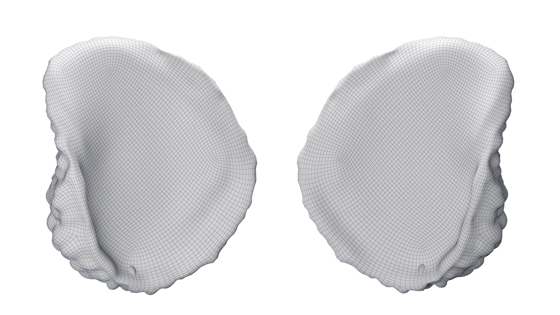 Mammary Glands 3d Model Turbosquid 2195281