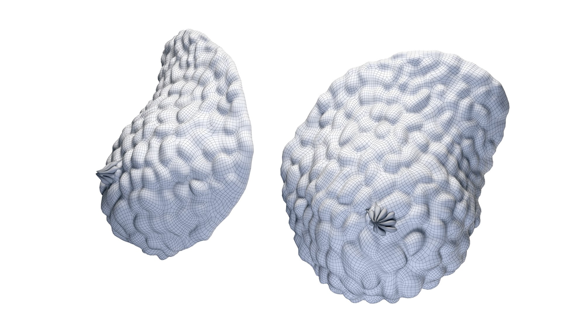 Mammary Glands 3D Model - TurboSquid 2195281