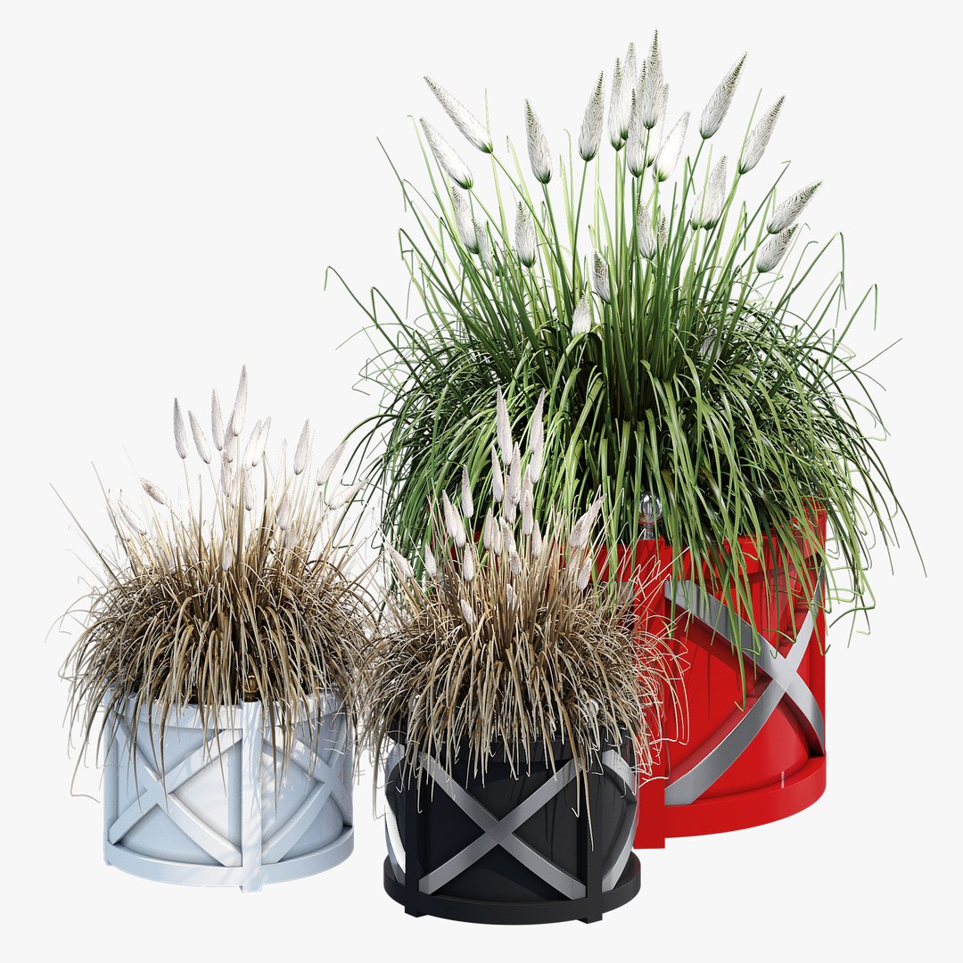 3D model Round cross pot - TurboSquid 1903489