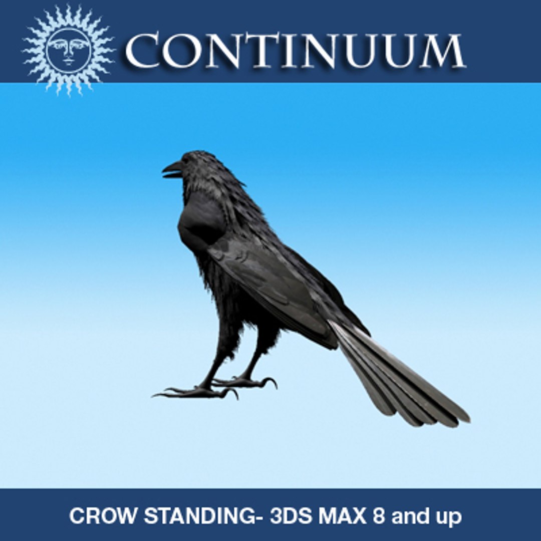 Crow Standing Rigged V8 Max
