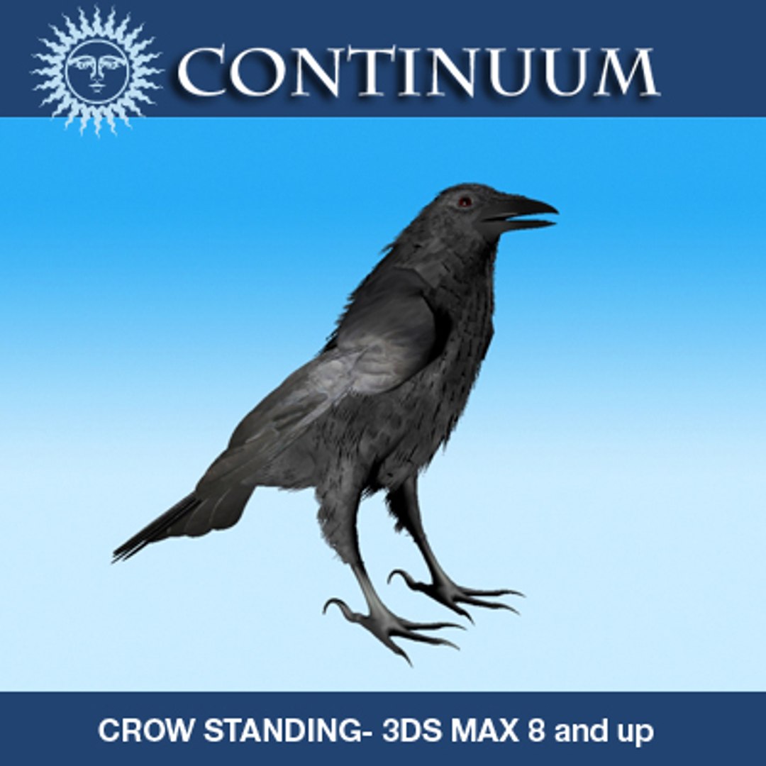 Crow Standing Rigged V8 Max