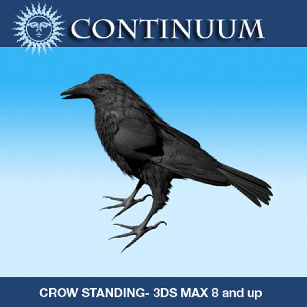 Crow Standing Rigged V8 Max