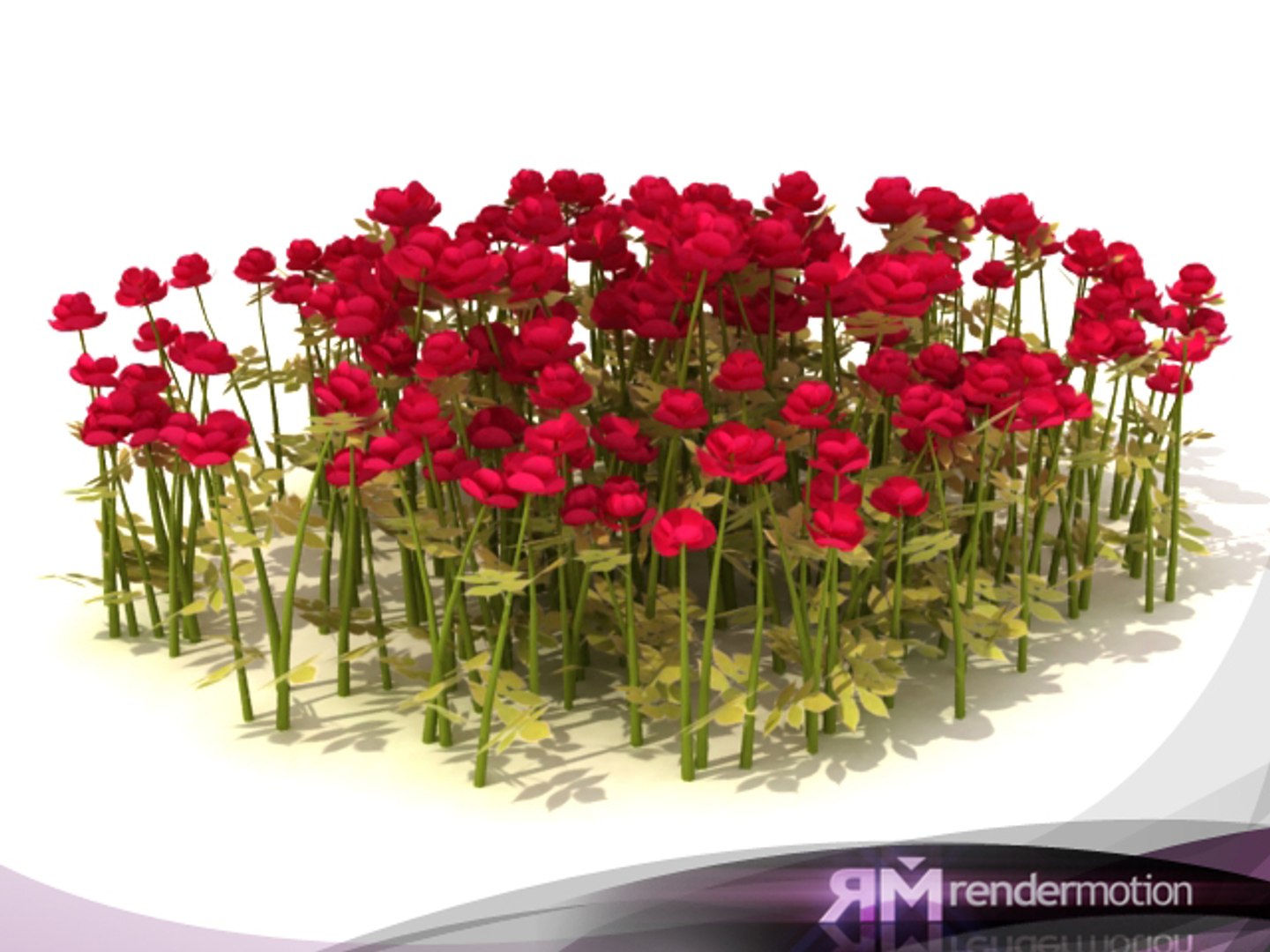 3d flower model