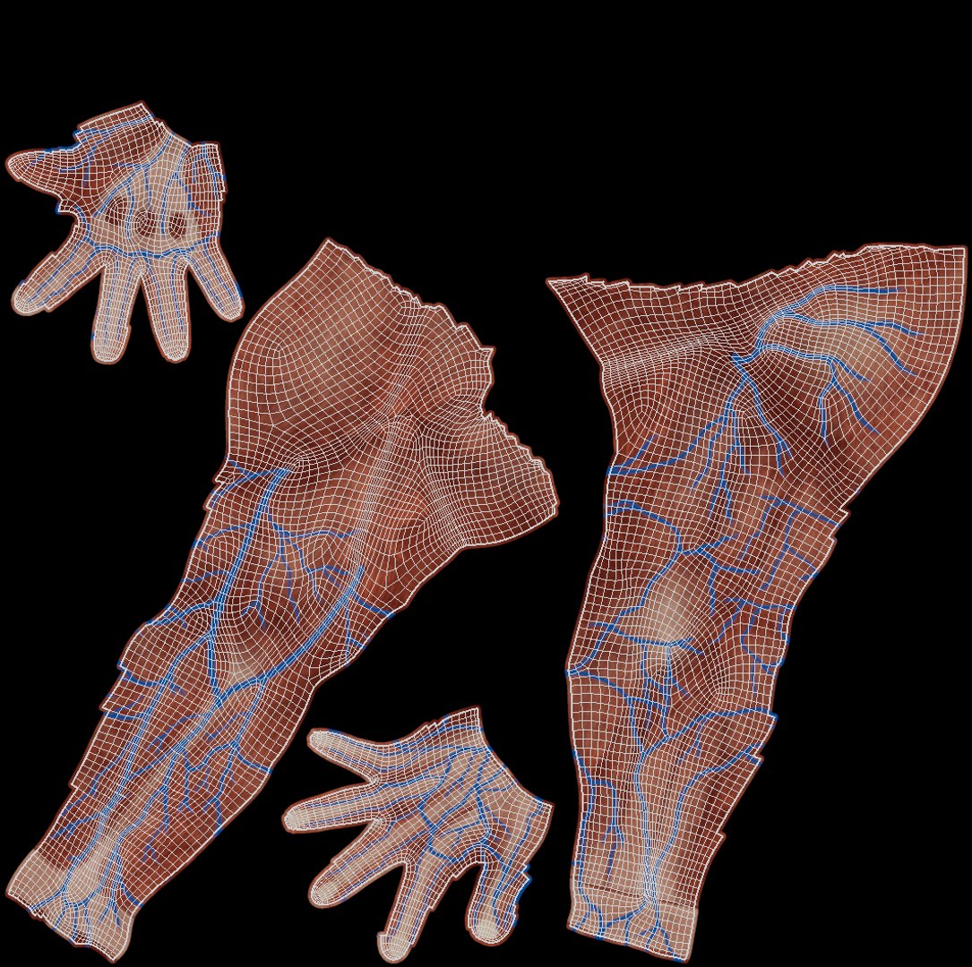 Human Anatomy-Cardiovascular-Venous System Of The Upper Limb Model ...