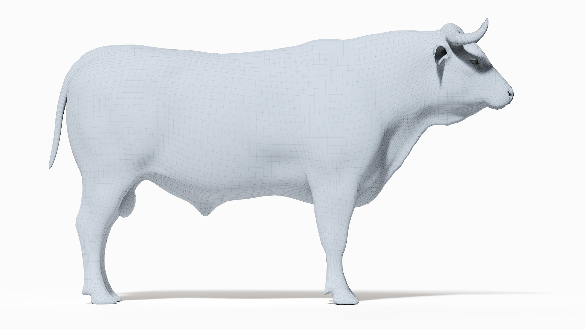 3D bull body static model - TurboSquid 1712211