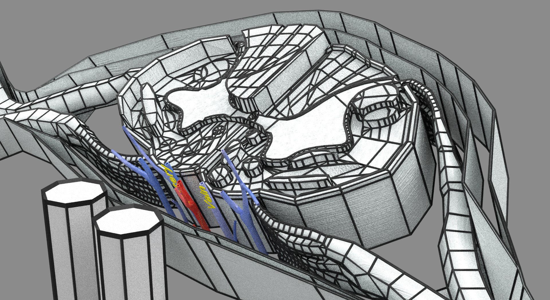 The Blend Model Depicts The Spinal Cord Injuries And Its Various ...