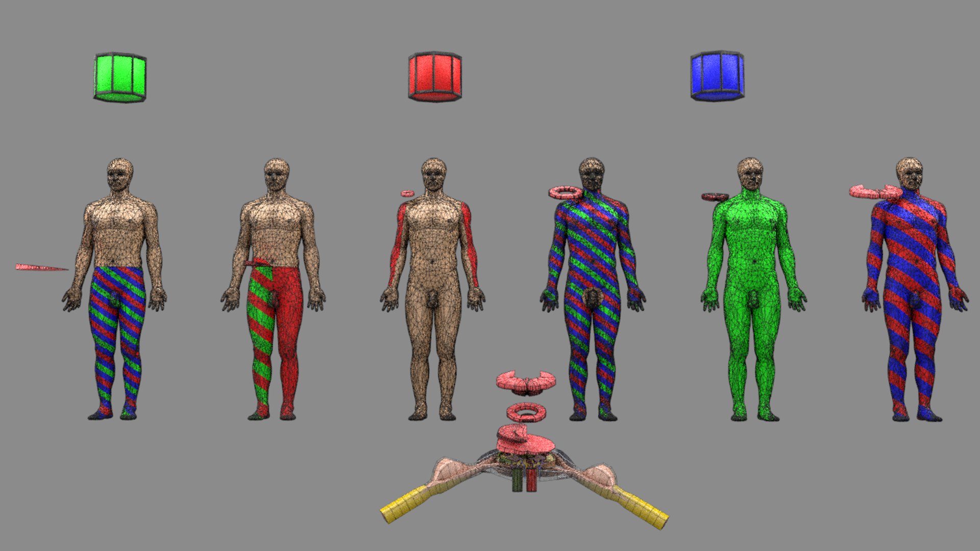 The Blend Model Depicts The Spinal Cord Injuries And Its Various ...