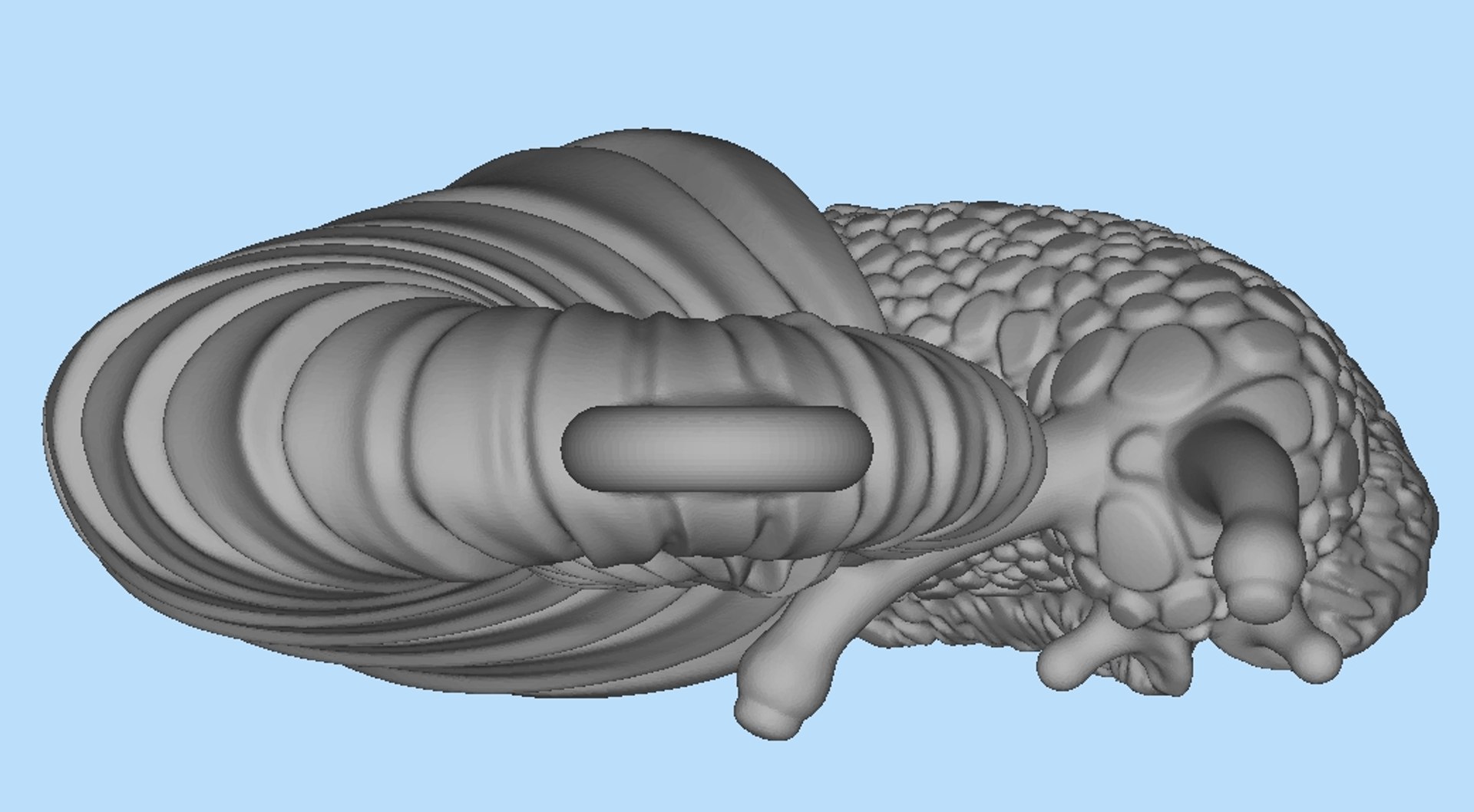3D snail pendant jewelry model - TurboSquid 1481110