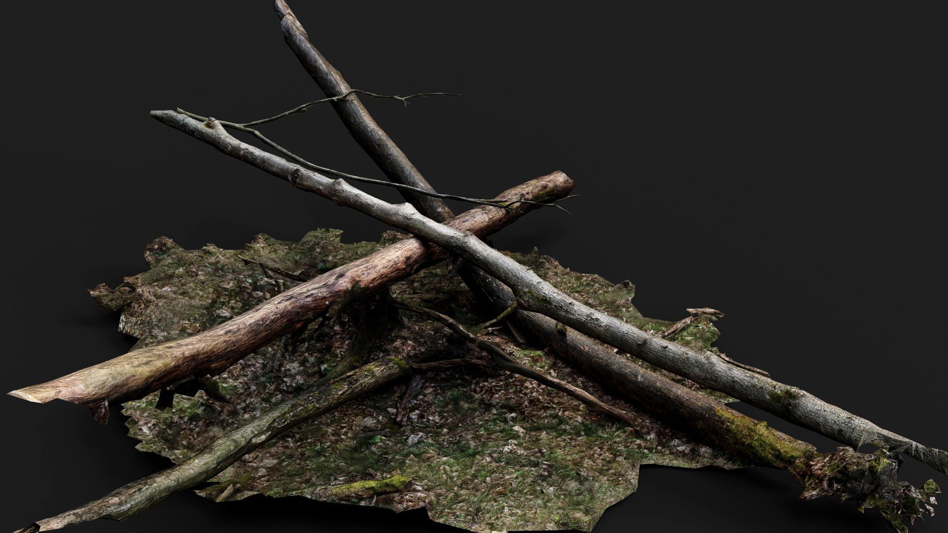 Broken Trees Forest Terrain Pt3 PBR Photogrammetry 3D Model ...