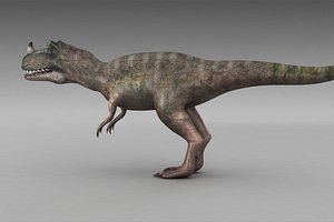 3D Ceratosaurus Models | TurboSquid