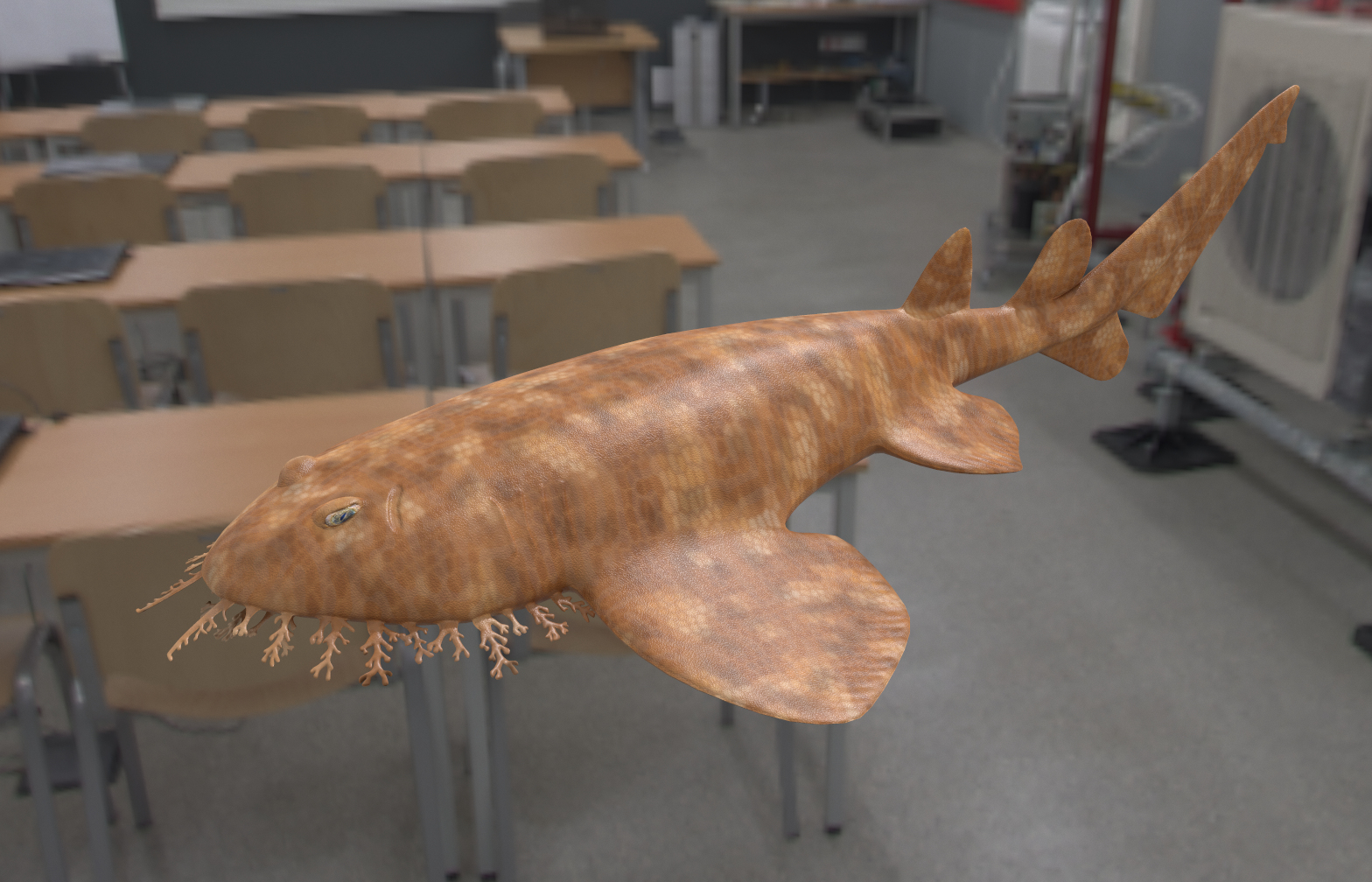 Wobbegong shark 3D model - TurboSquid 1330280