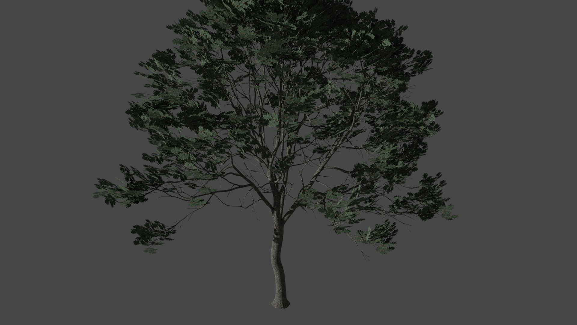 Tree 4 Model - TurboSquid 1614358