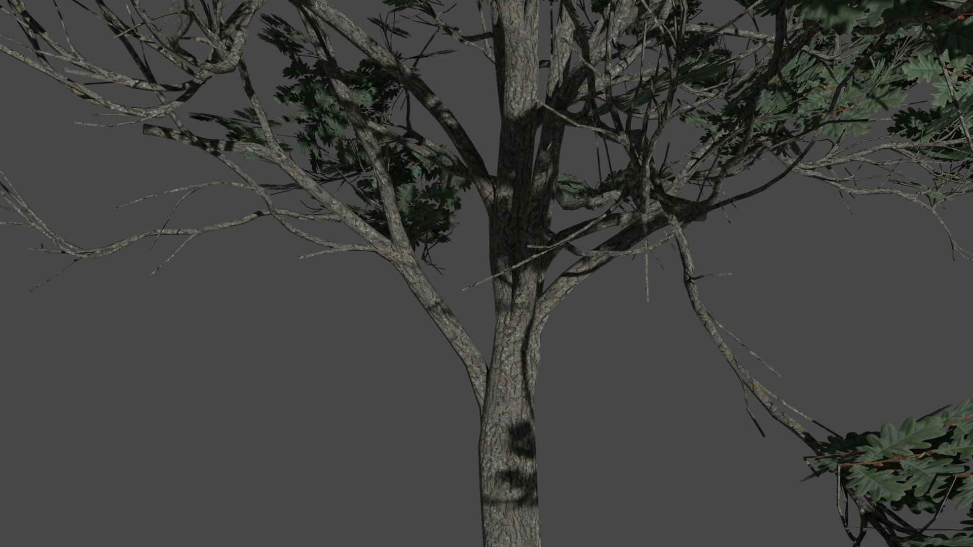 Tree 4 Model - TurboSquid 1614358