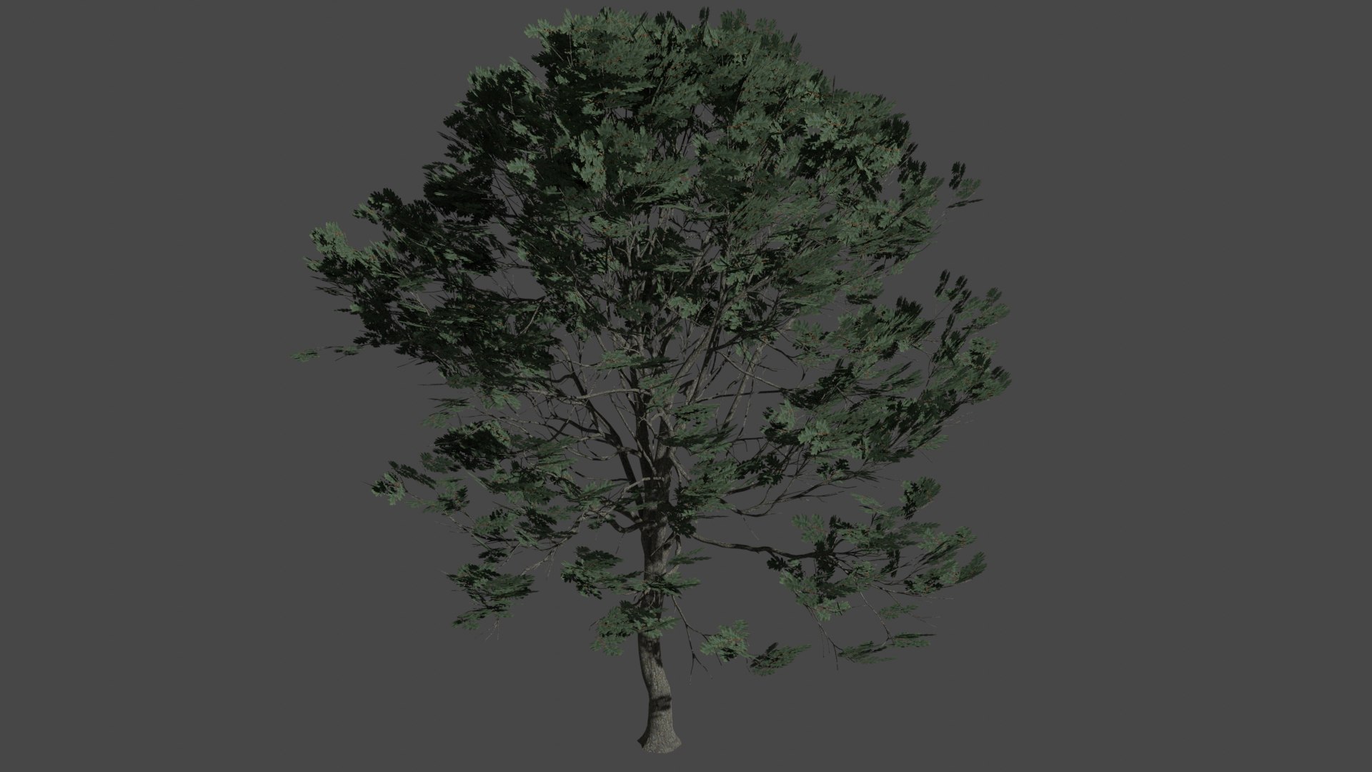 Tree 4 Model - TurboSquid 1614358