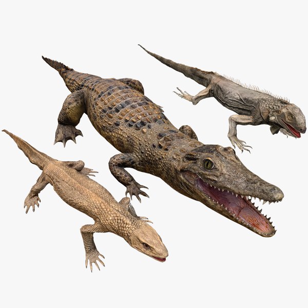 3D модель Reptile Crocodile Varan Iguana - TurboSquid 2055508