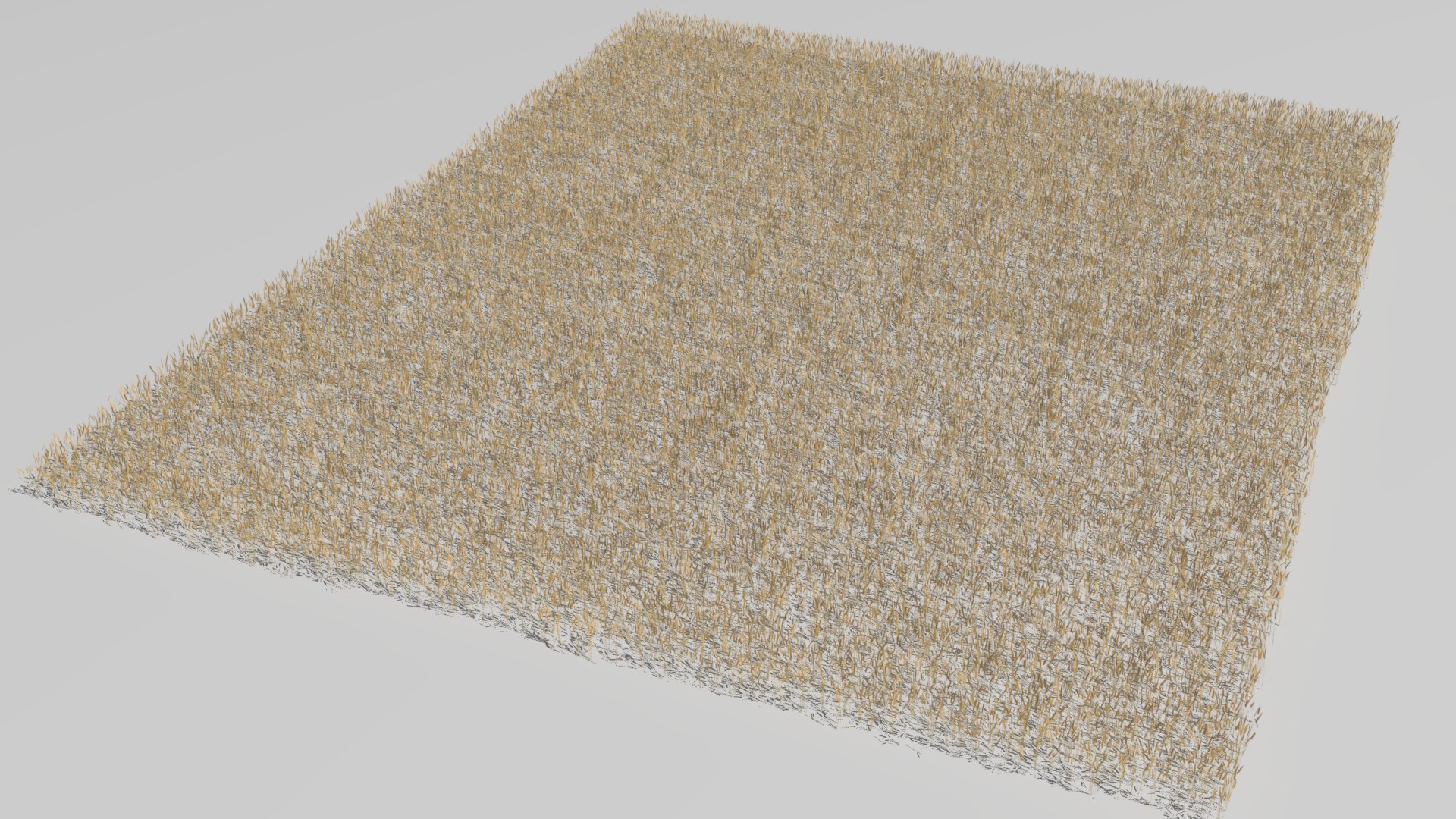Wheat Field 3D Model - TurboSquid 1755459
