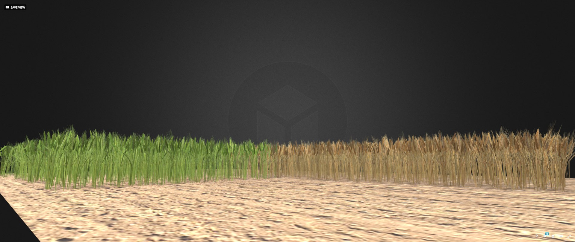 Wheat Field 3D Model - TurboSquid 1755459
