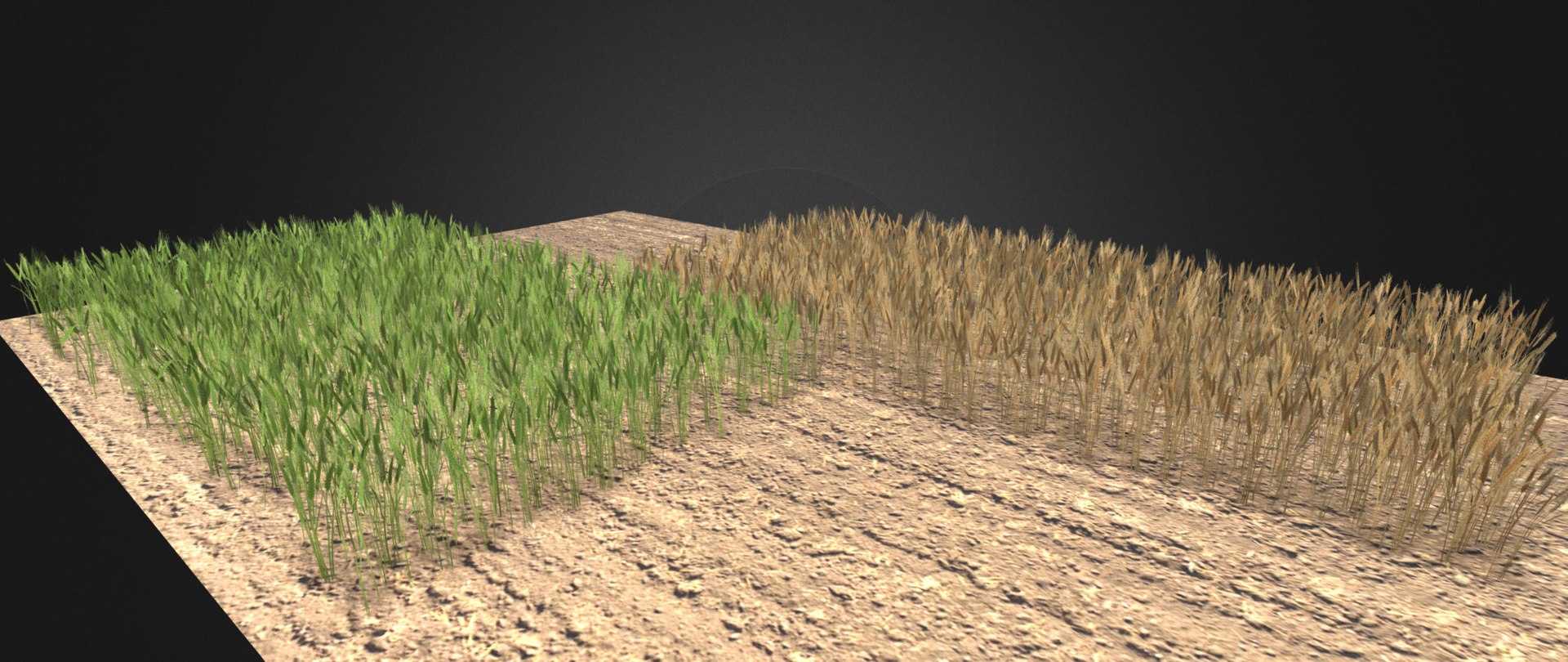 Wheat Field 3D Model - TurboSquid 1755459