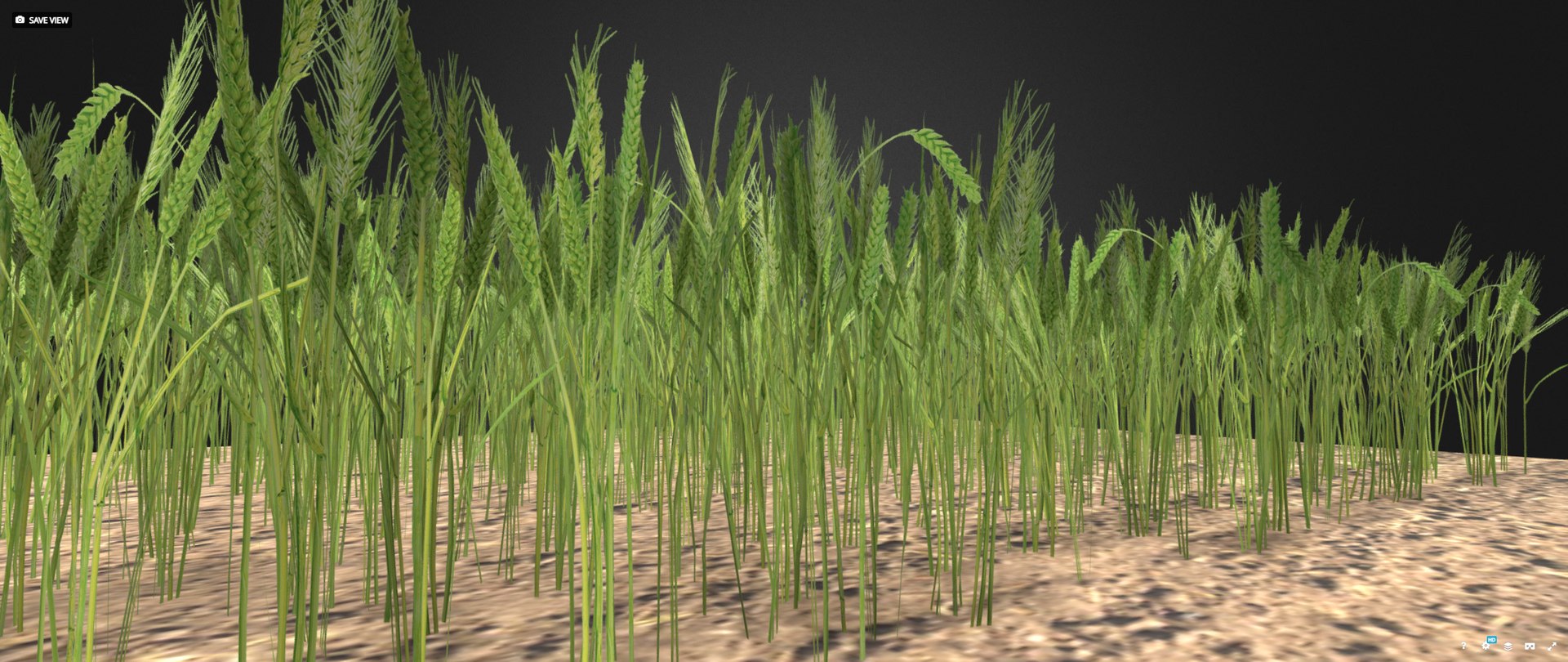 Wheat Field 3D Model - TurboSquid 1755459