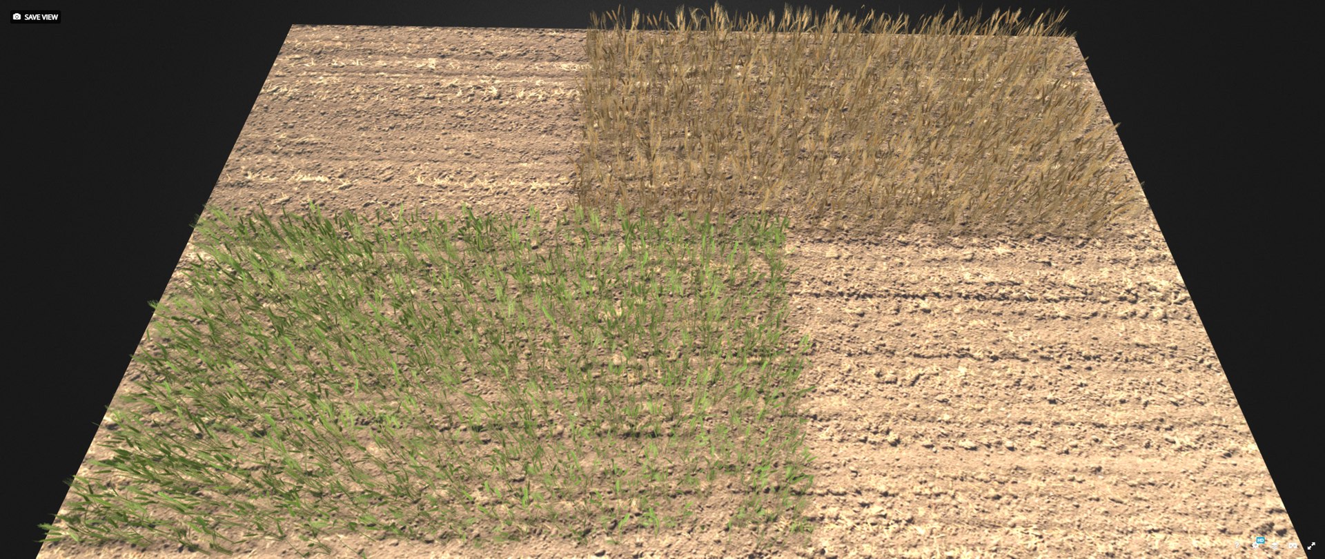 Wheat Field 3D Model - TurboSquid 1755459