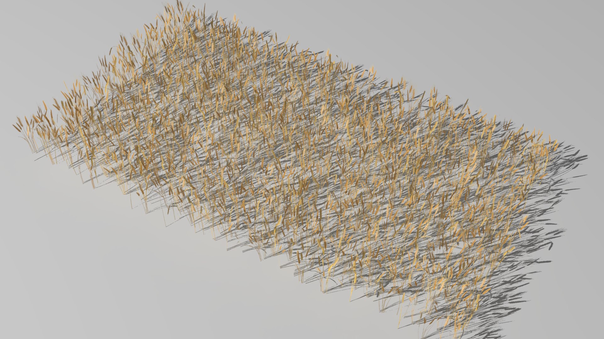 Wheat Field 3D Model - TurboSquid 1755459