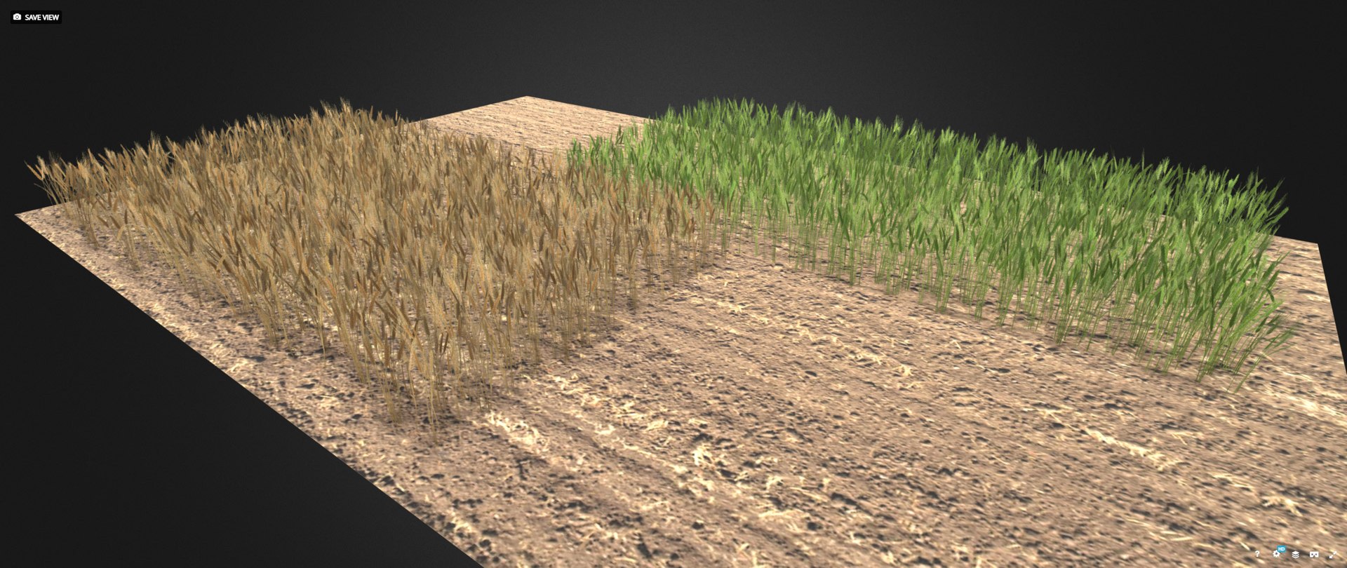 Wheat Field 3D Model - TurboSquid 1755459