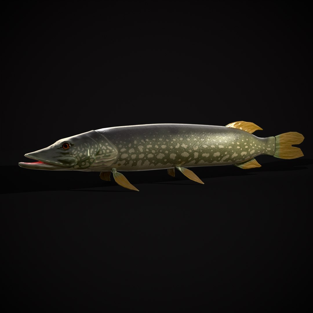 3D Northern Spotted Pike - TurboSquid 2153549
