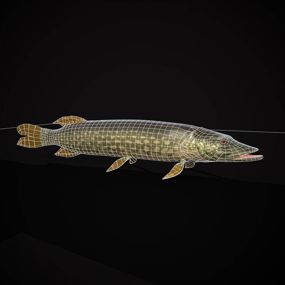 3D Northern Spotted Pike - TurboSquid 2153549