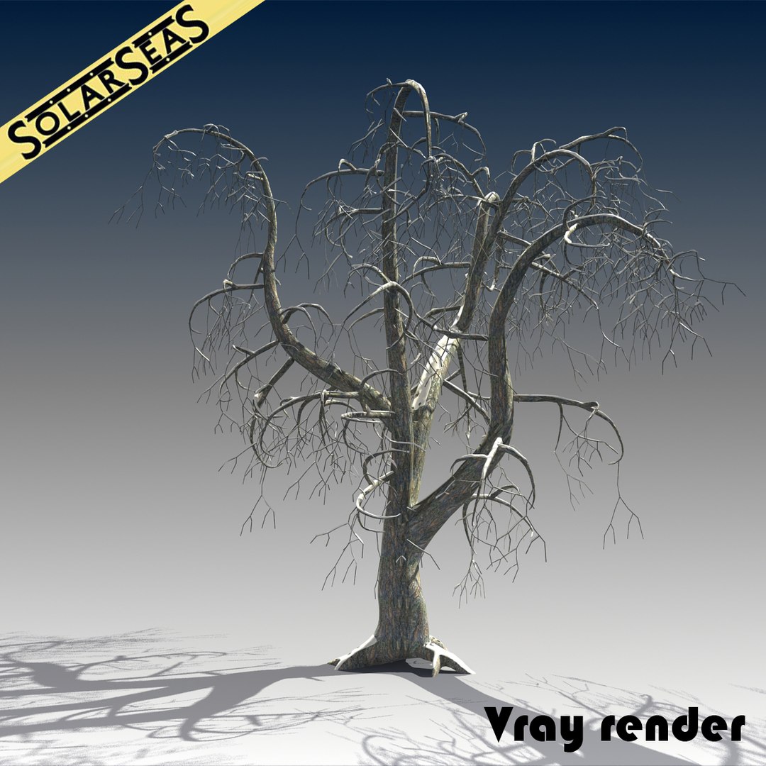 Max Scanline Winter Deciduous Tree