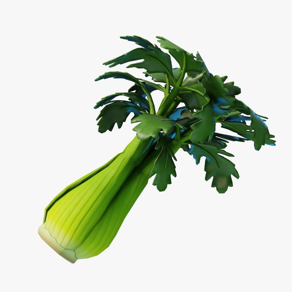 modelo 3d Apio de dibujos animados - TurboSquid 1728211