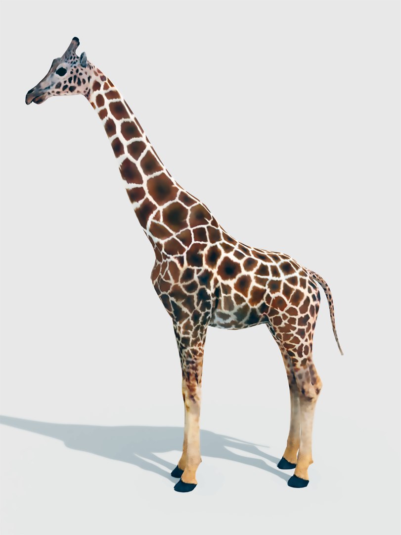 Giraffe Rigged Low Poly model - TurboSquid 2059155