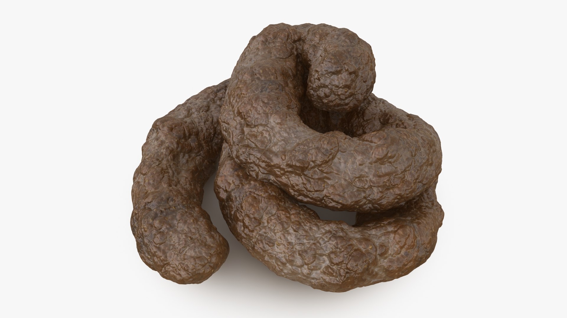 3D Model Poop 03 - TurboSquid 2002436