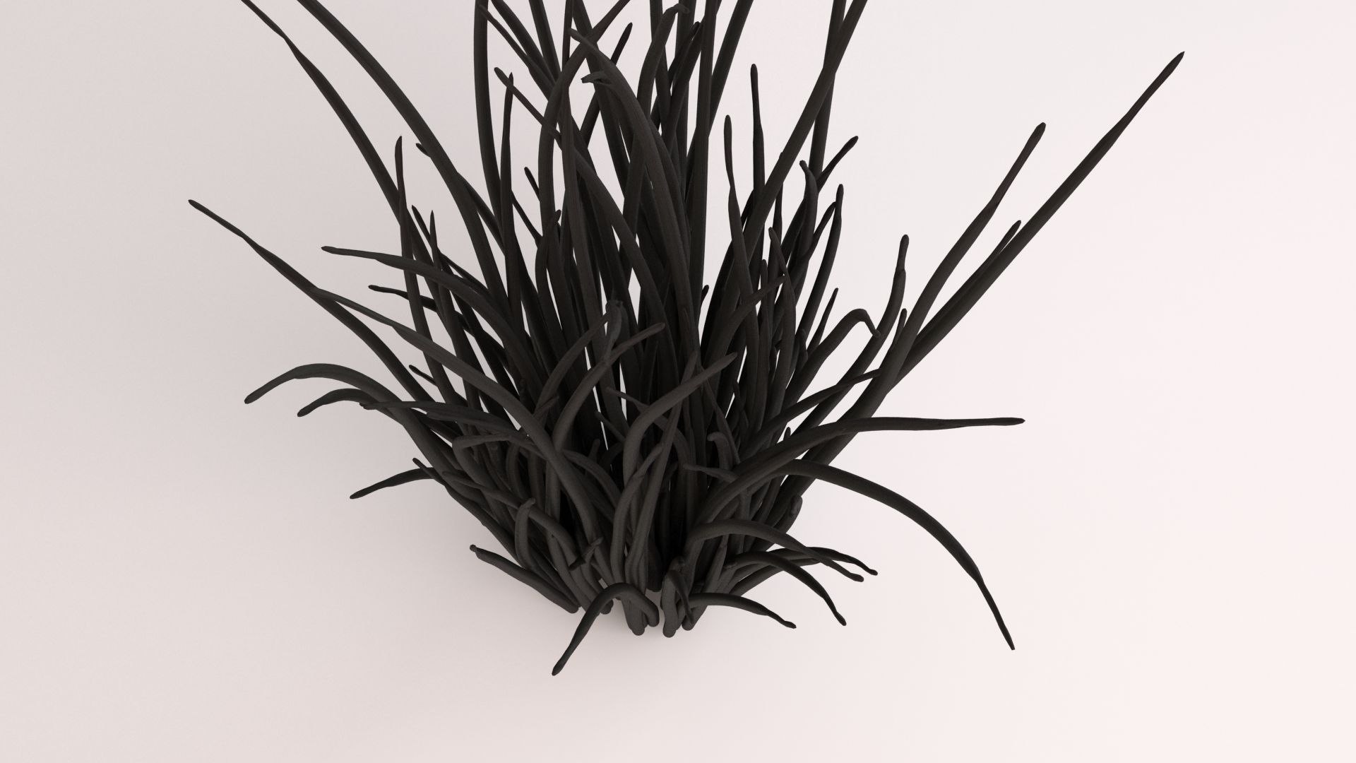 3D Model Black Reed Grass - TurboSquid 1656014
