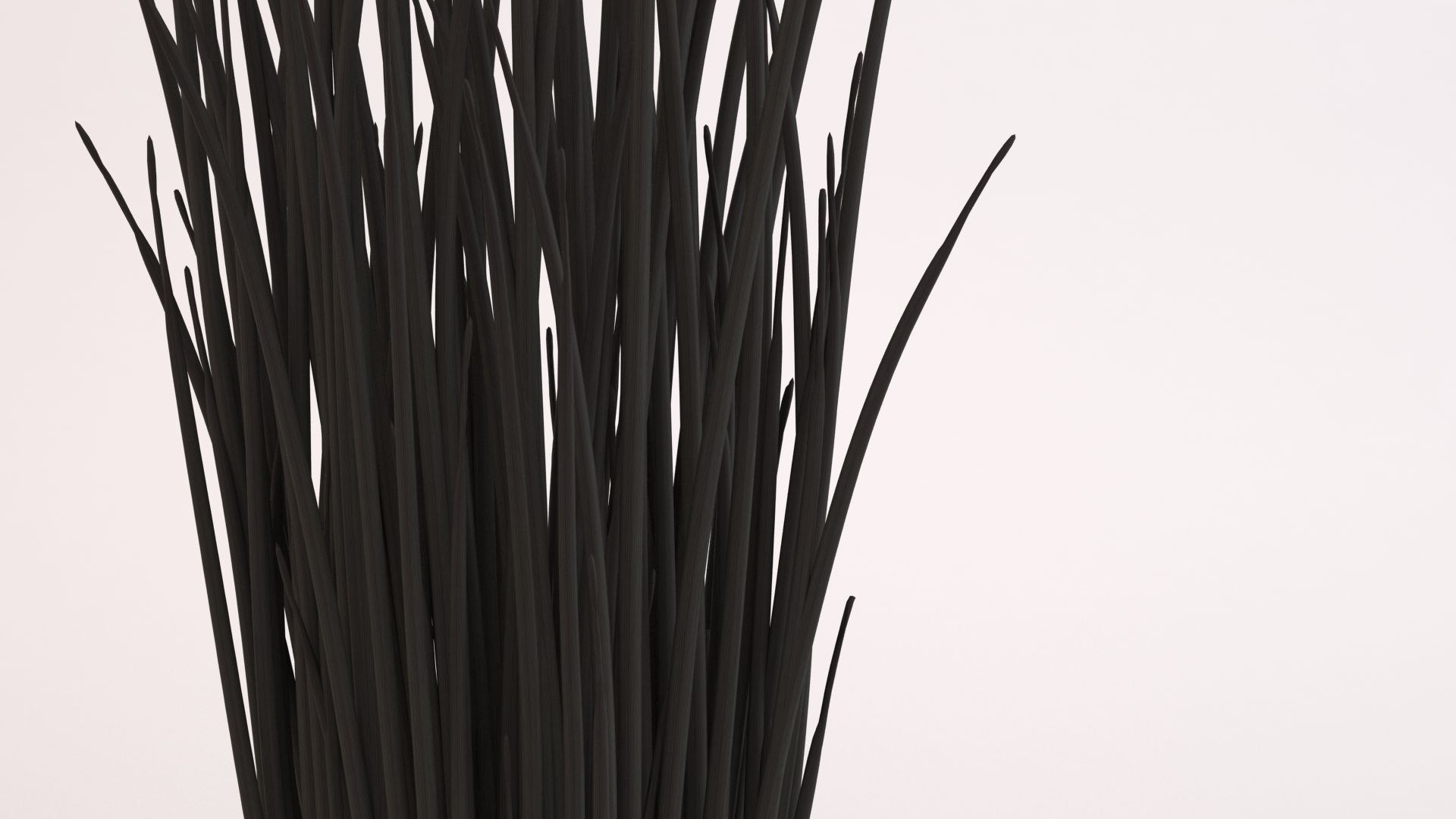 3D Model Black Reed Grass - TurboSquid 1656014