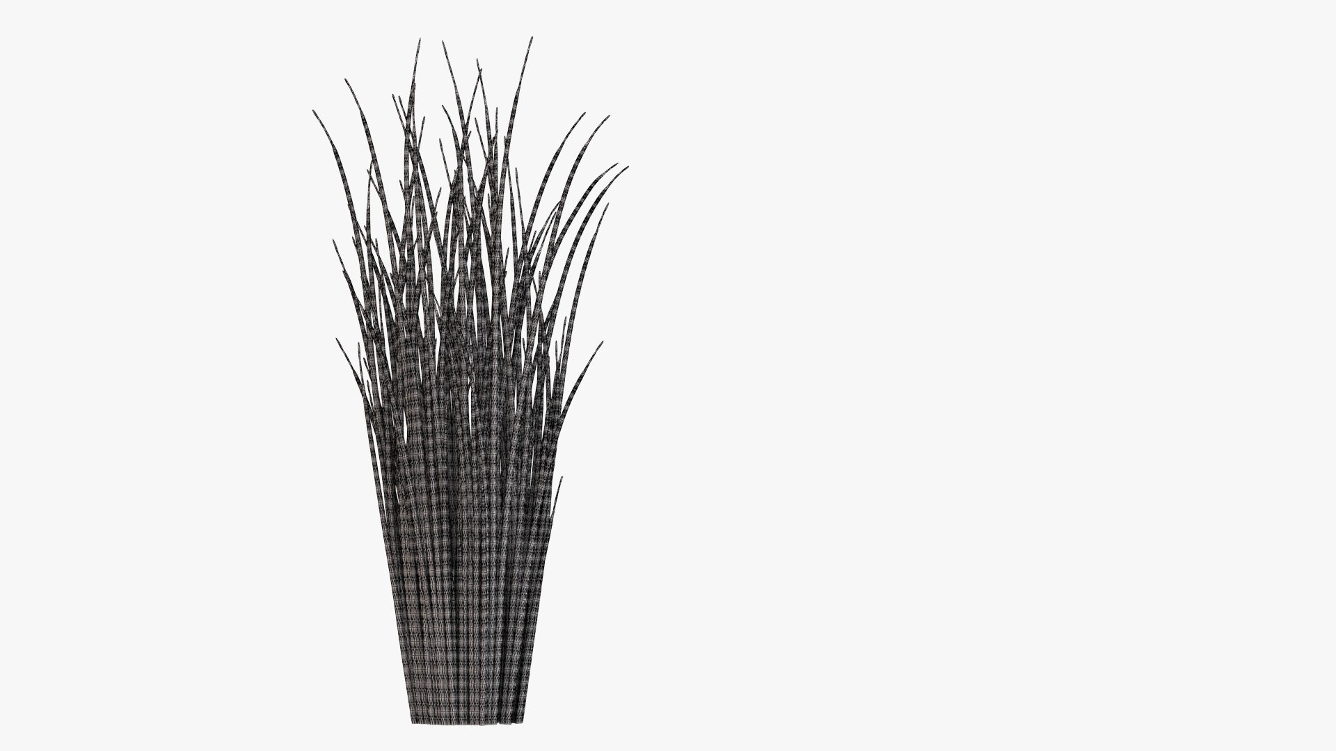 3D Model Black Reed Grass - TurboSquid 1656014