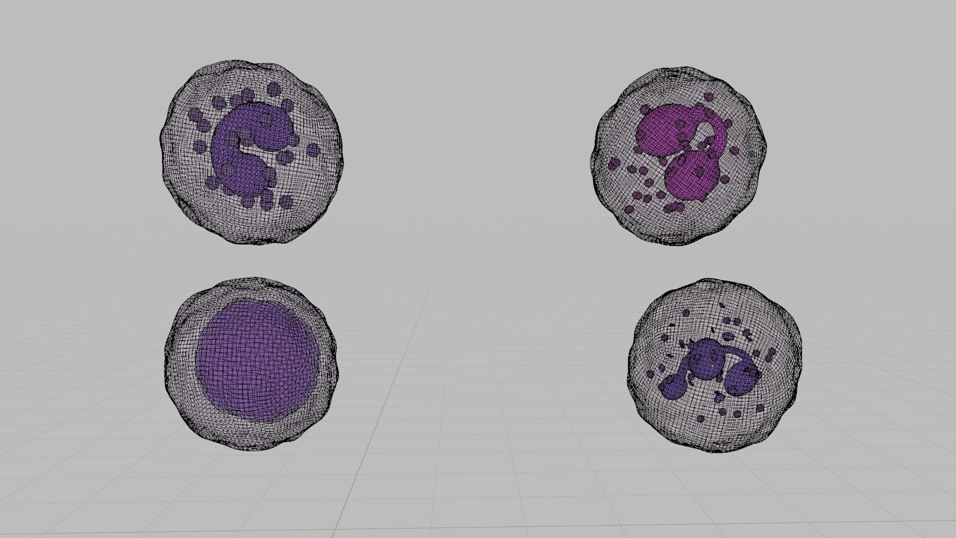 White Blood Cells 3D Model - TurboSquid 2203327