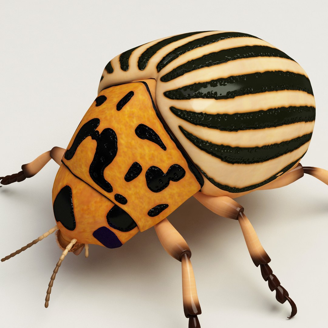 bugs set madagascar 3d max