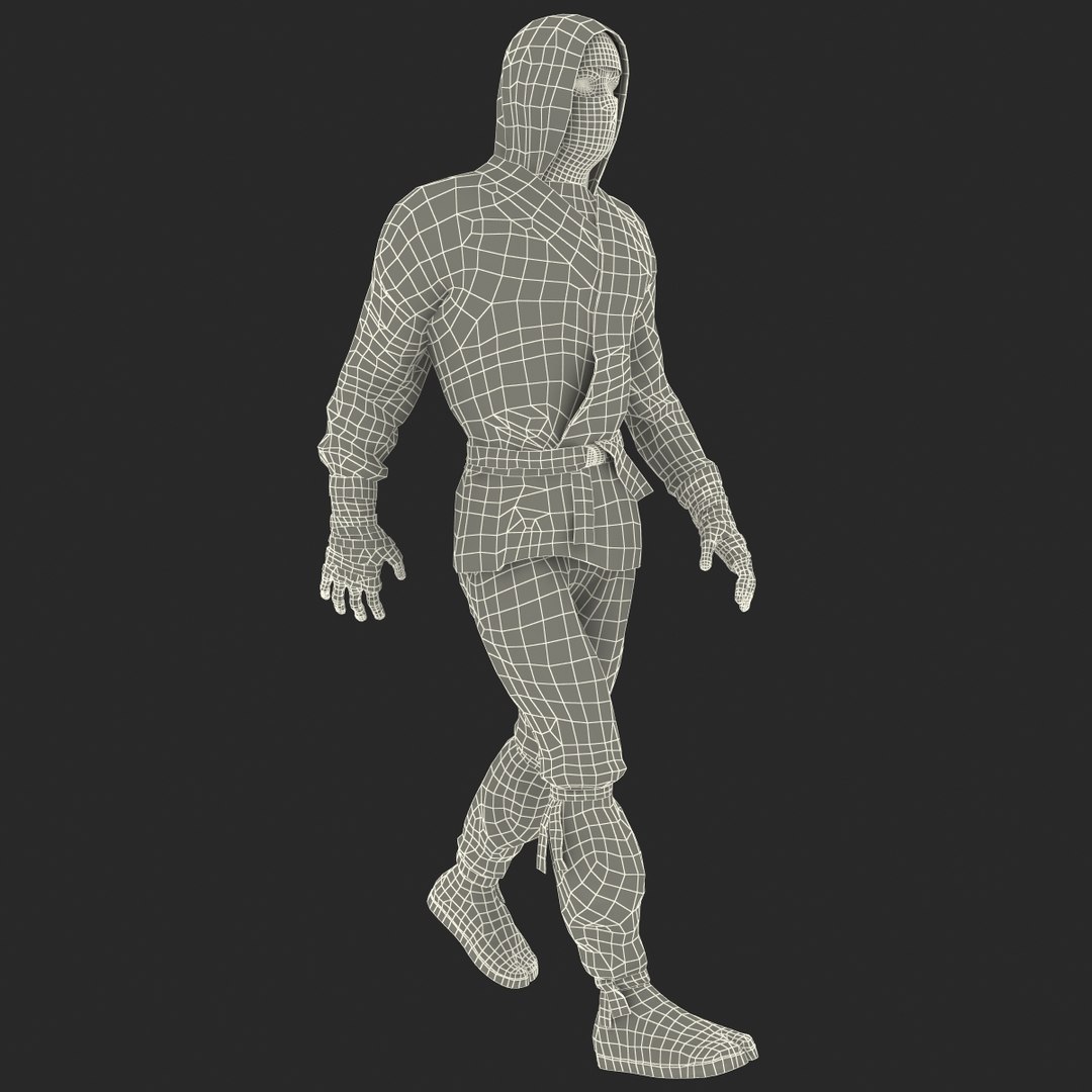 3d ninja rigged model