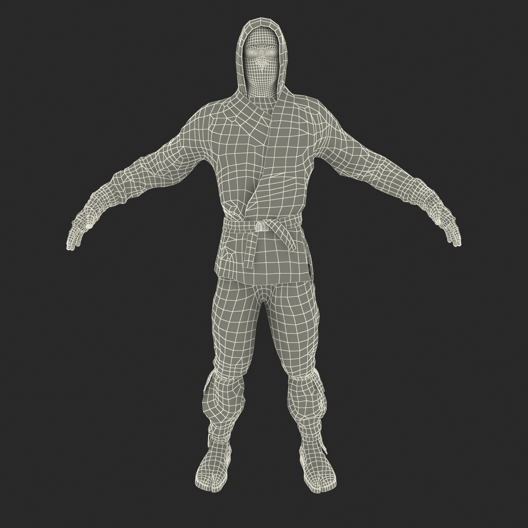 3d Ninja Rigged Model