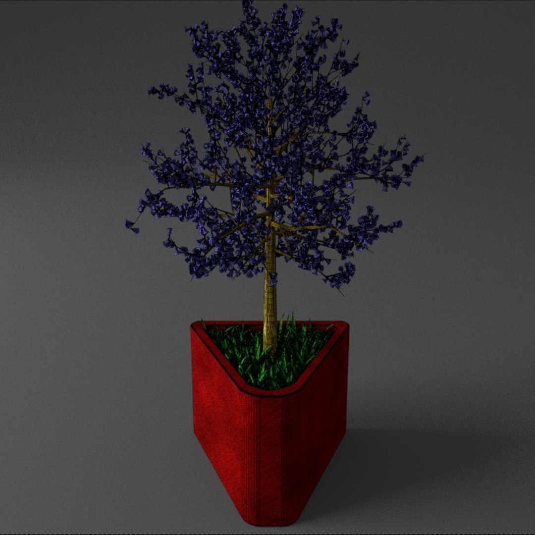 Young Potted Jacaranda Tree Obj