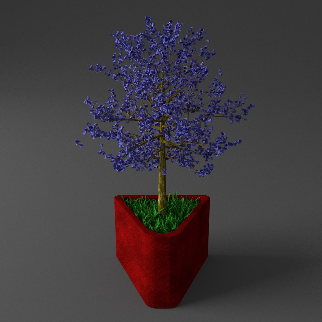 Young Potted Jacaranda Tree Obj