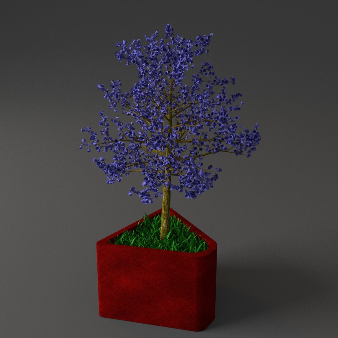 Young Potted Jacaranda Tree Obj