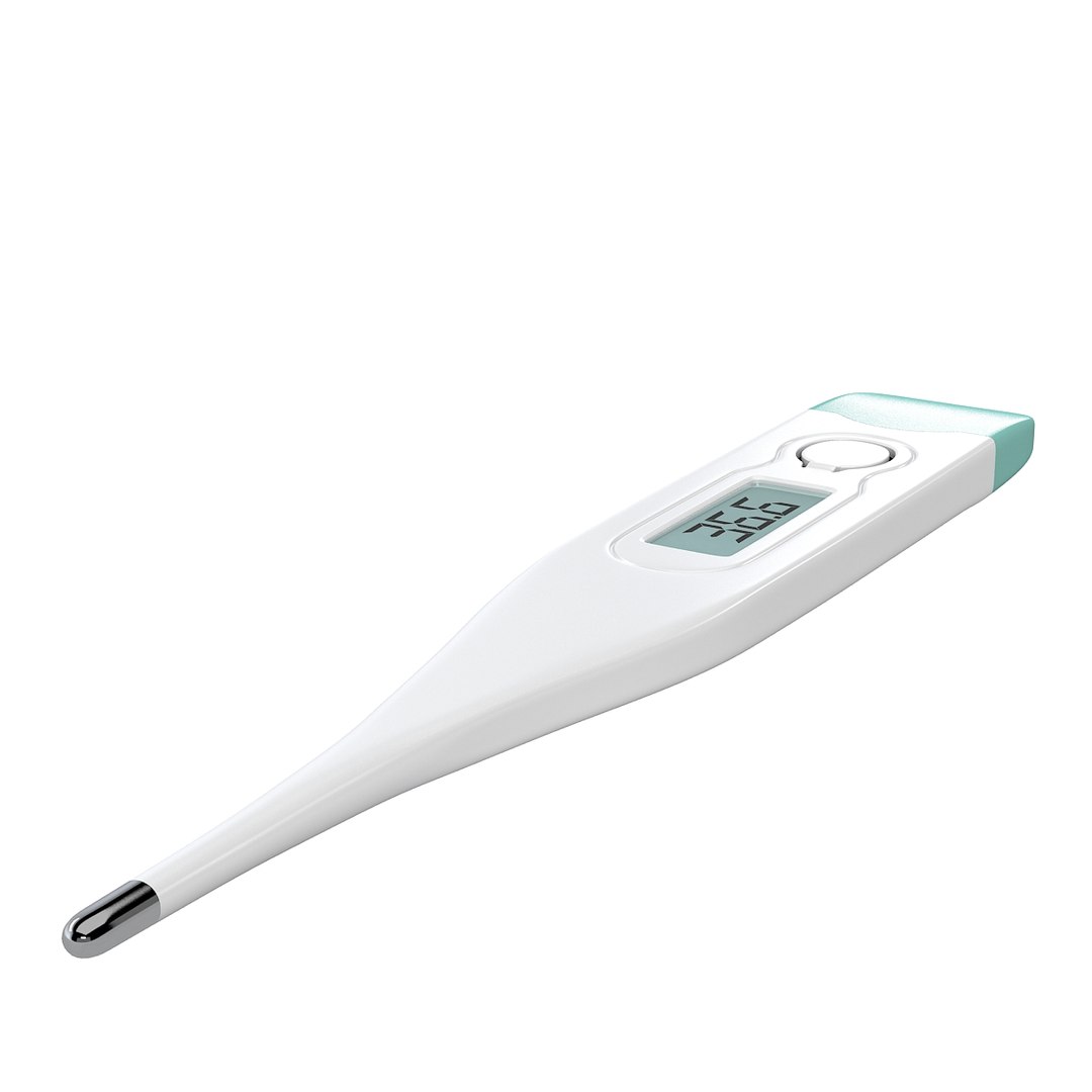 3d Waterproof Digital Thermometer Model