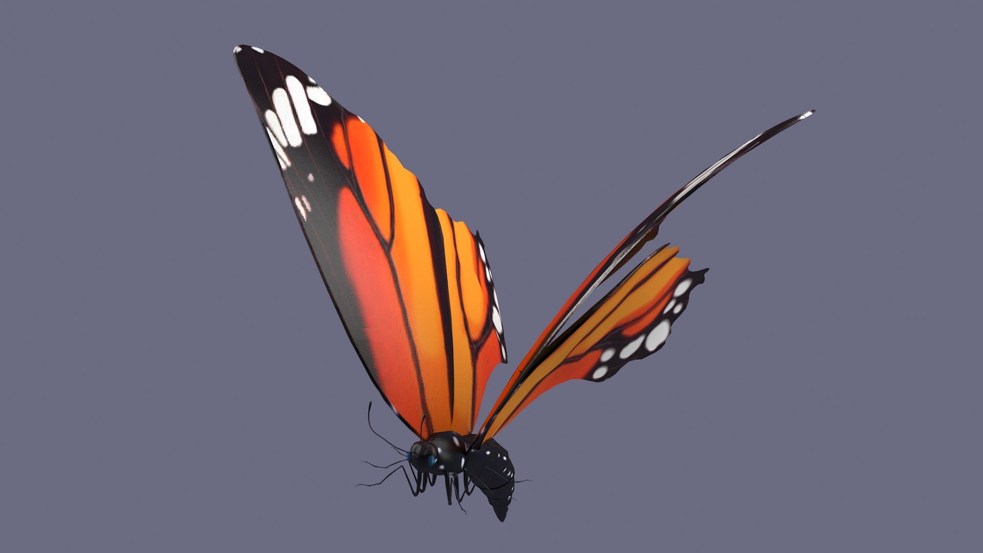 3D Butterfly Antenna Wing Insect Fly Wildlife Summer Sky Model ...