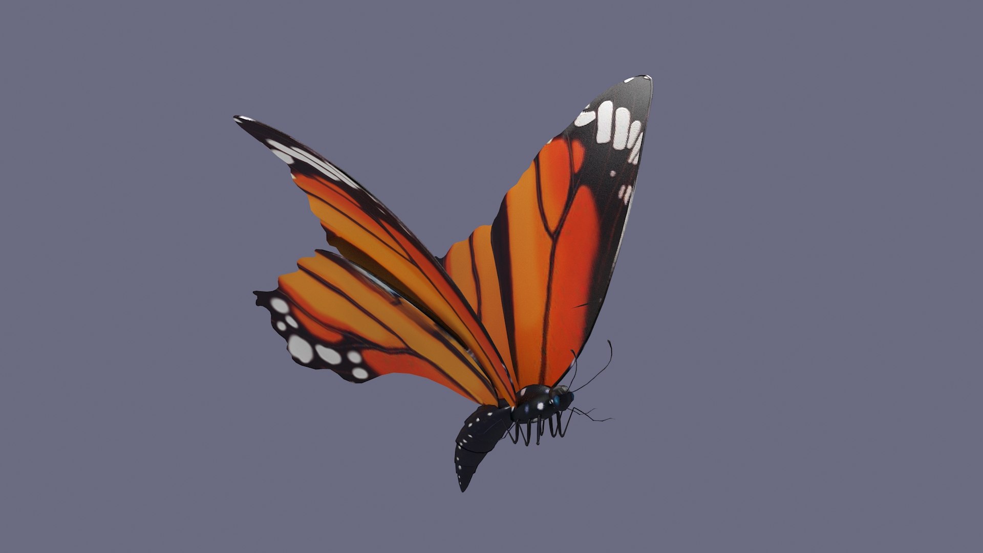 3D Butterfly Antenna Wing Insect Fly Wildlife Summer Sky Model ...