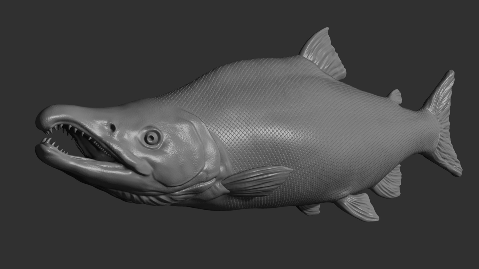 3D Sockeye Salmon Model - TurboSquid 1797915