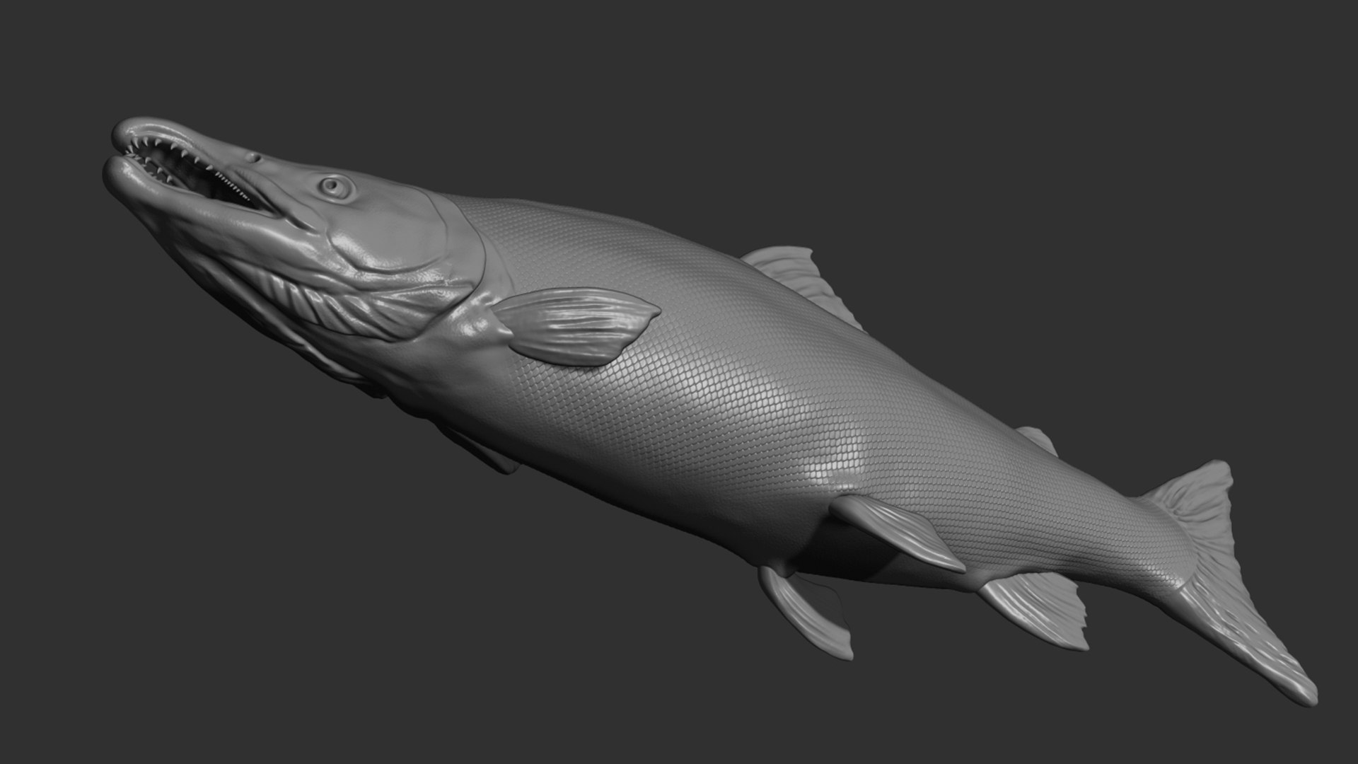 3D Sockeye Salmon Model - TurboSquid 1797915
