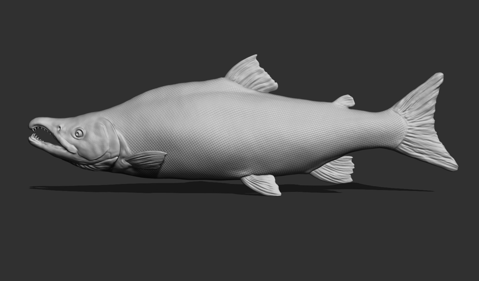 3D Sockeye Salmon Model - TurboSquid 1797915