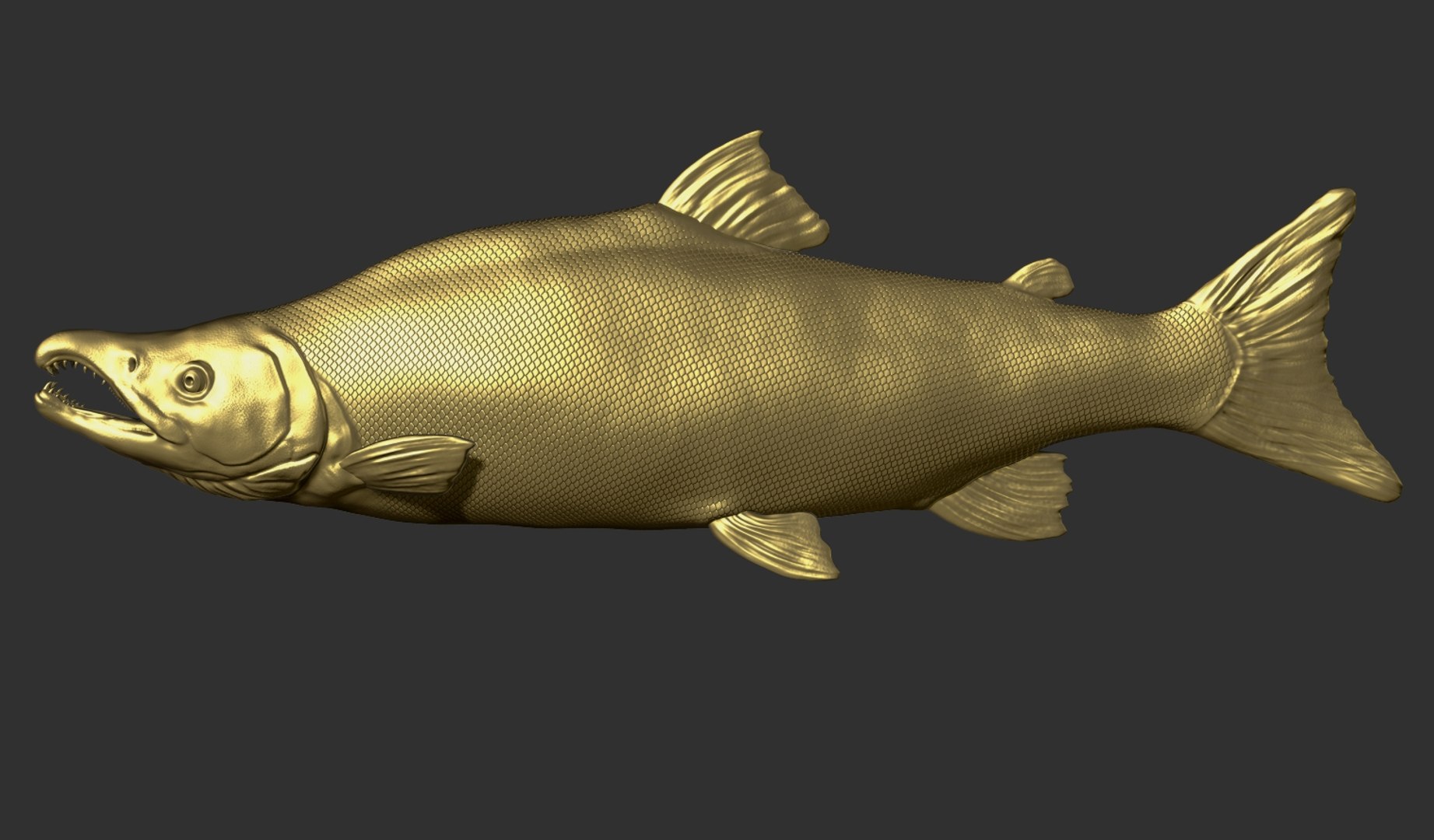 3D Sockeye Salmon Model - TurboSquid 1797915