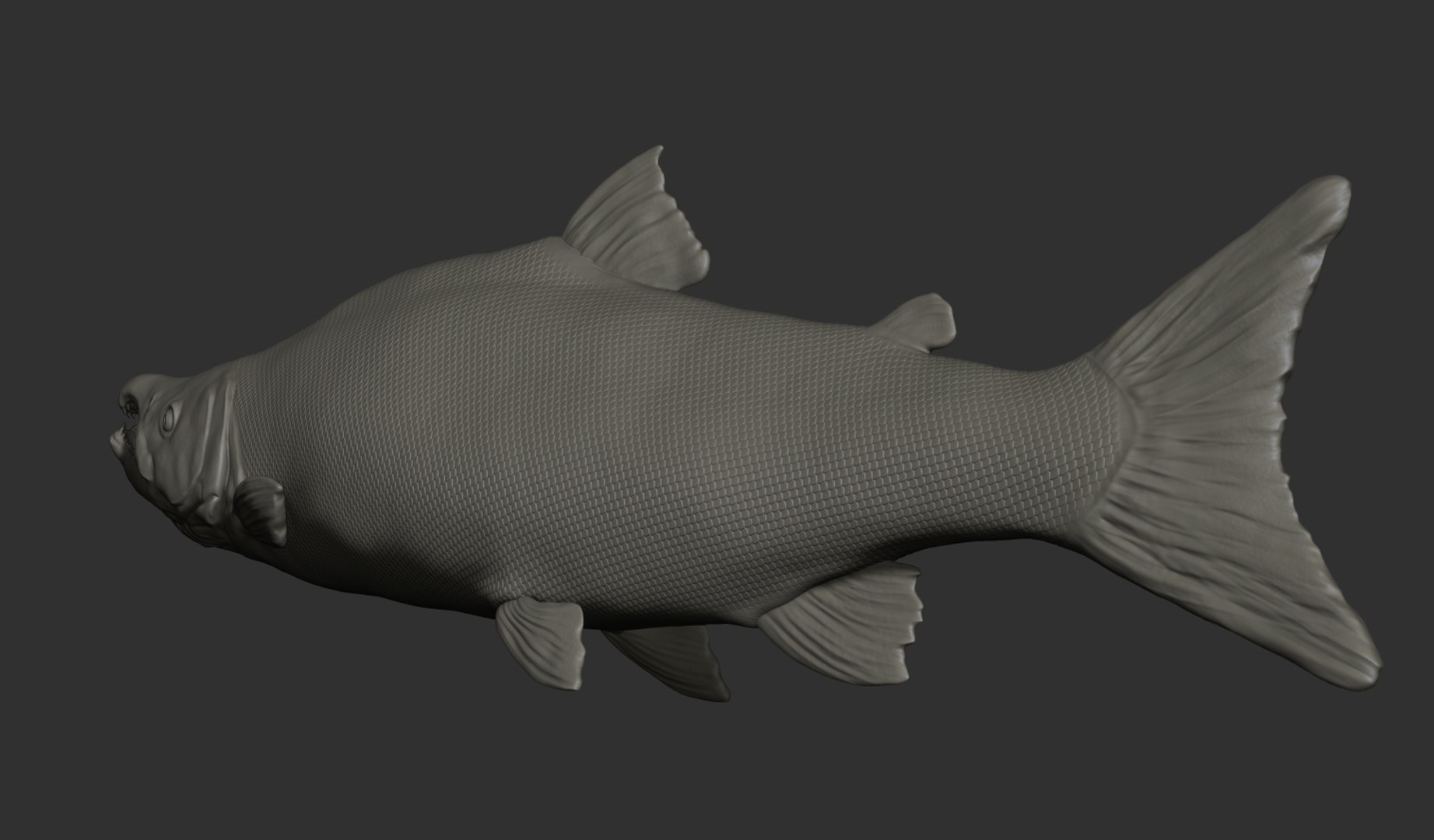 3D Sockeye Salmon Model - TurboSquid 1797915